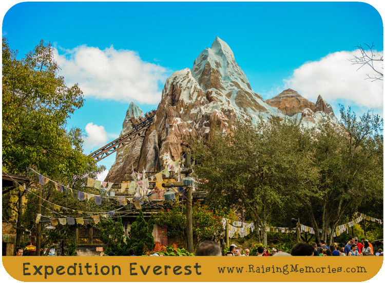 Disney's Animal Kingdom - Our Top 10