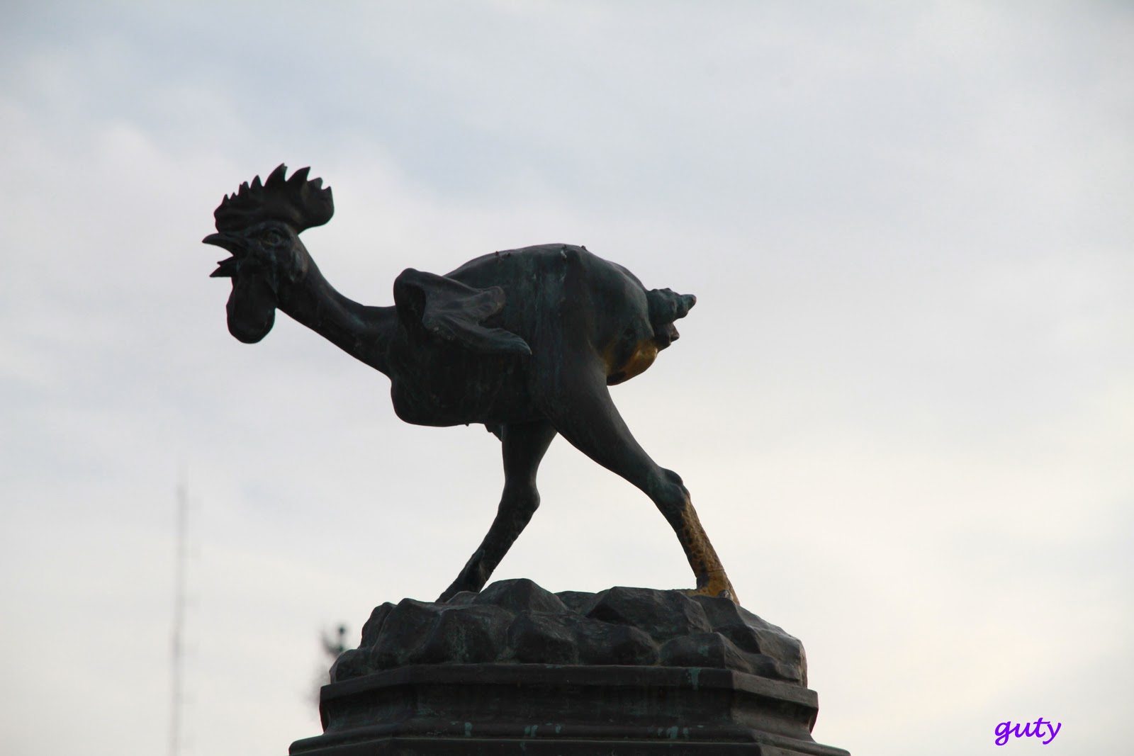 Fotografias: El Gallo y el Caballo de Moron.