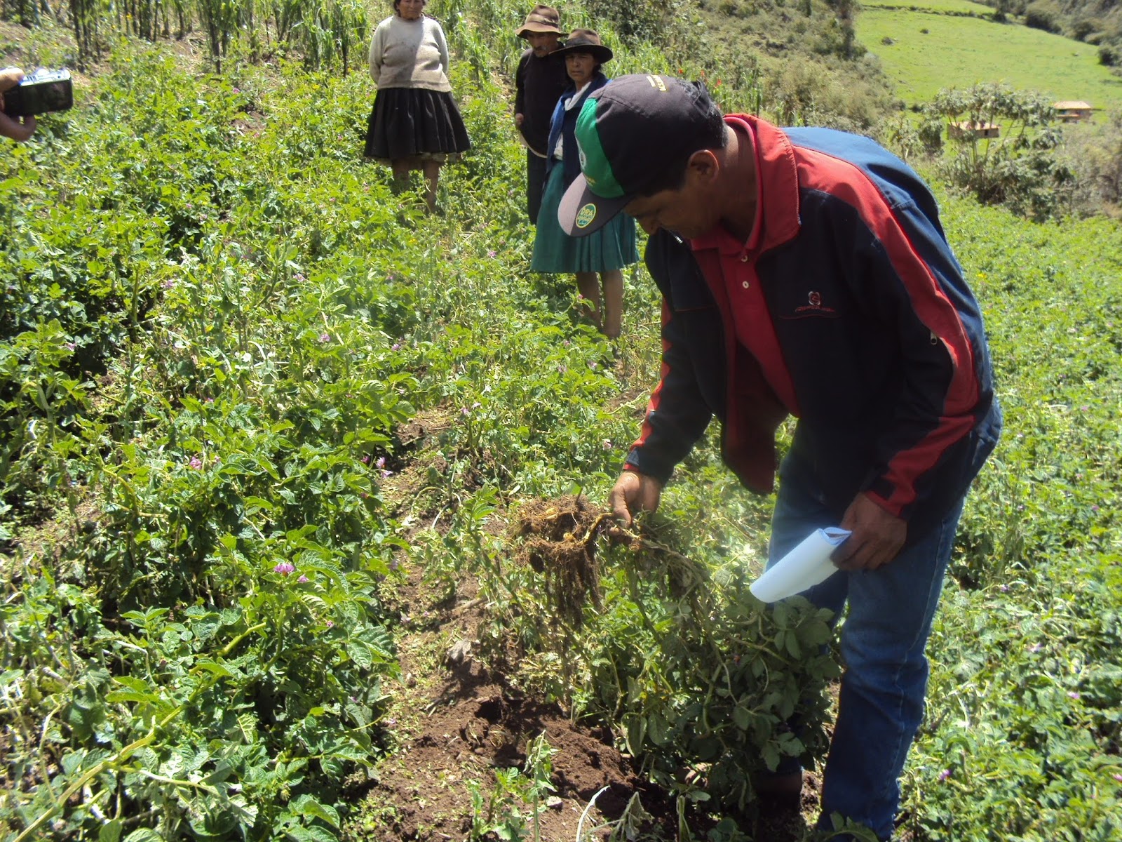 DIRECCIÓN REGIONAL AGRARIA DE APURÍMAC 2017: 2016