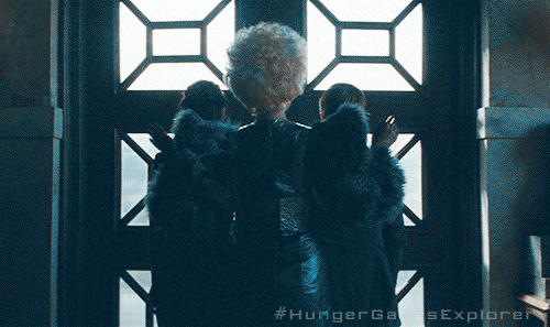 Welcome to District 12: MTV Debuts Catching Fire GIF