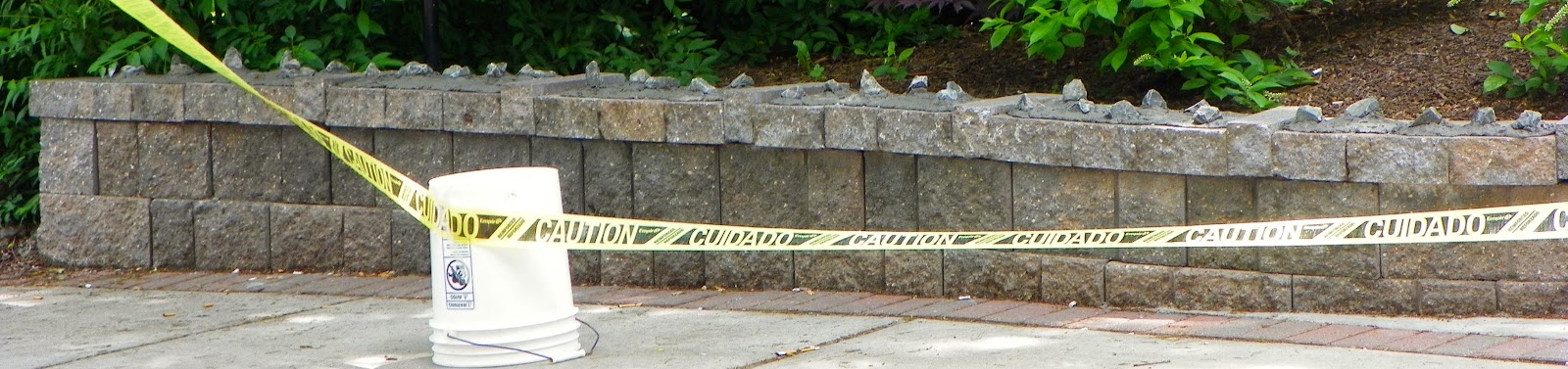 Only in The Republic of Amherst: June 2014