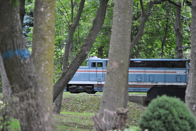 Anderson Arizona Adventures: Junction Valley Railroad