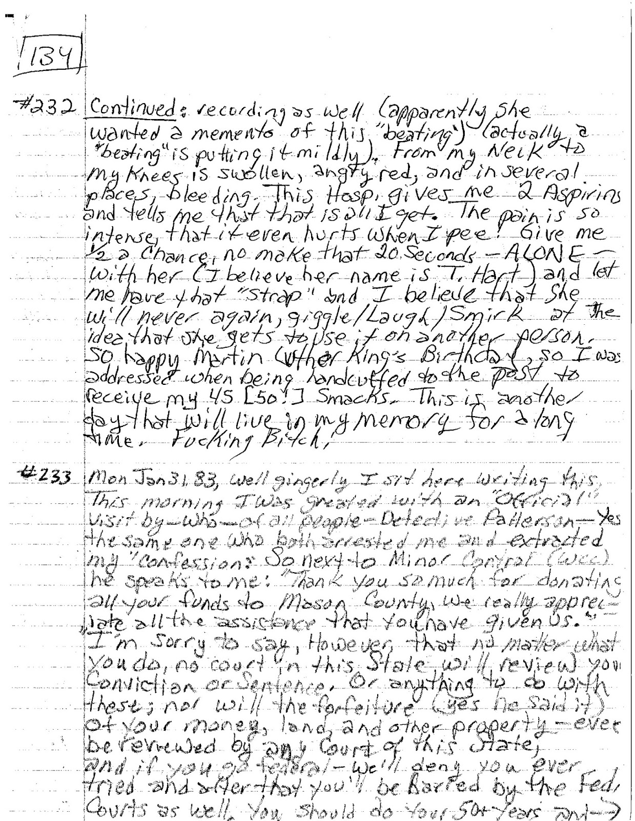In Birdy's Eyes:: Handwritten 30 Year Daily Prison Log