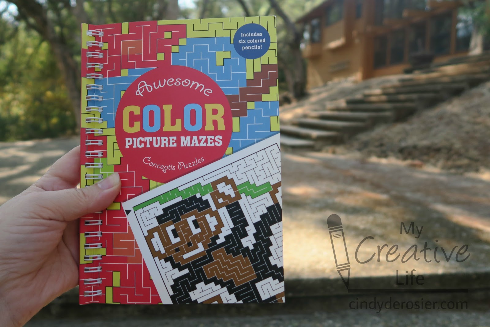 Cindy deRosier: My Creative Life: Awesome Color Picture Mazes