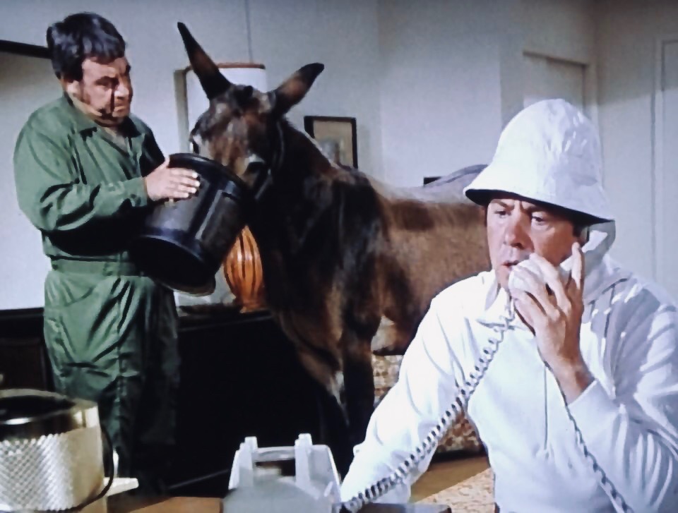 cult film freak: TIM CONWAY & GARY GRIMES STAR IN DISNEY'S ASS KICKING ...