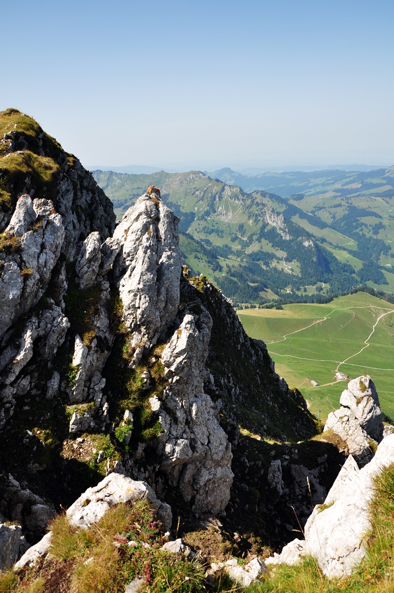 KAISEREGG | A COCKTAIL A DAY - the sparkling life and international ...