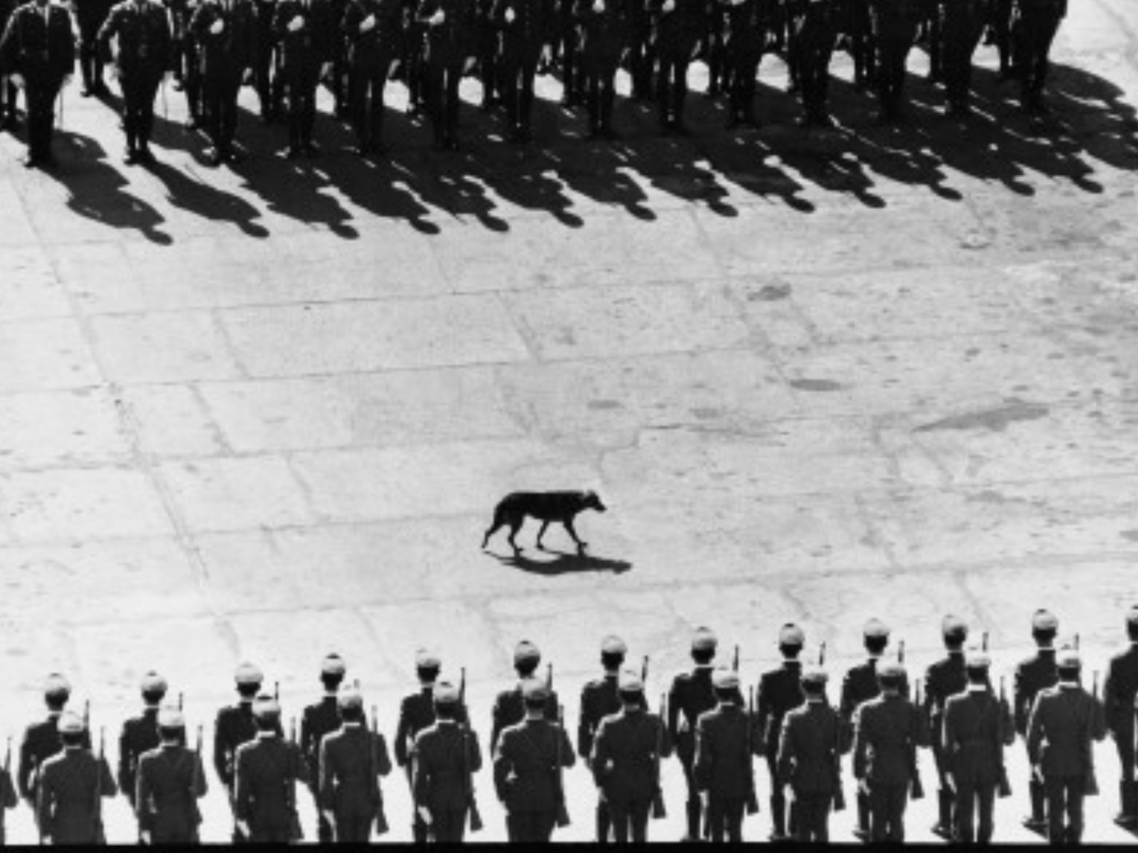 duas ou três coisas: Chile, 11 de setembro