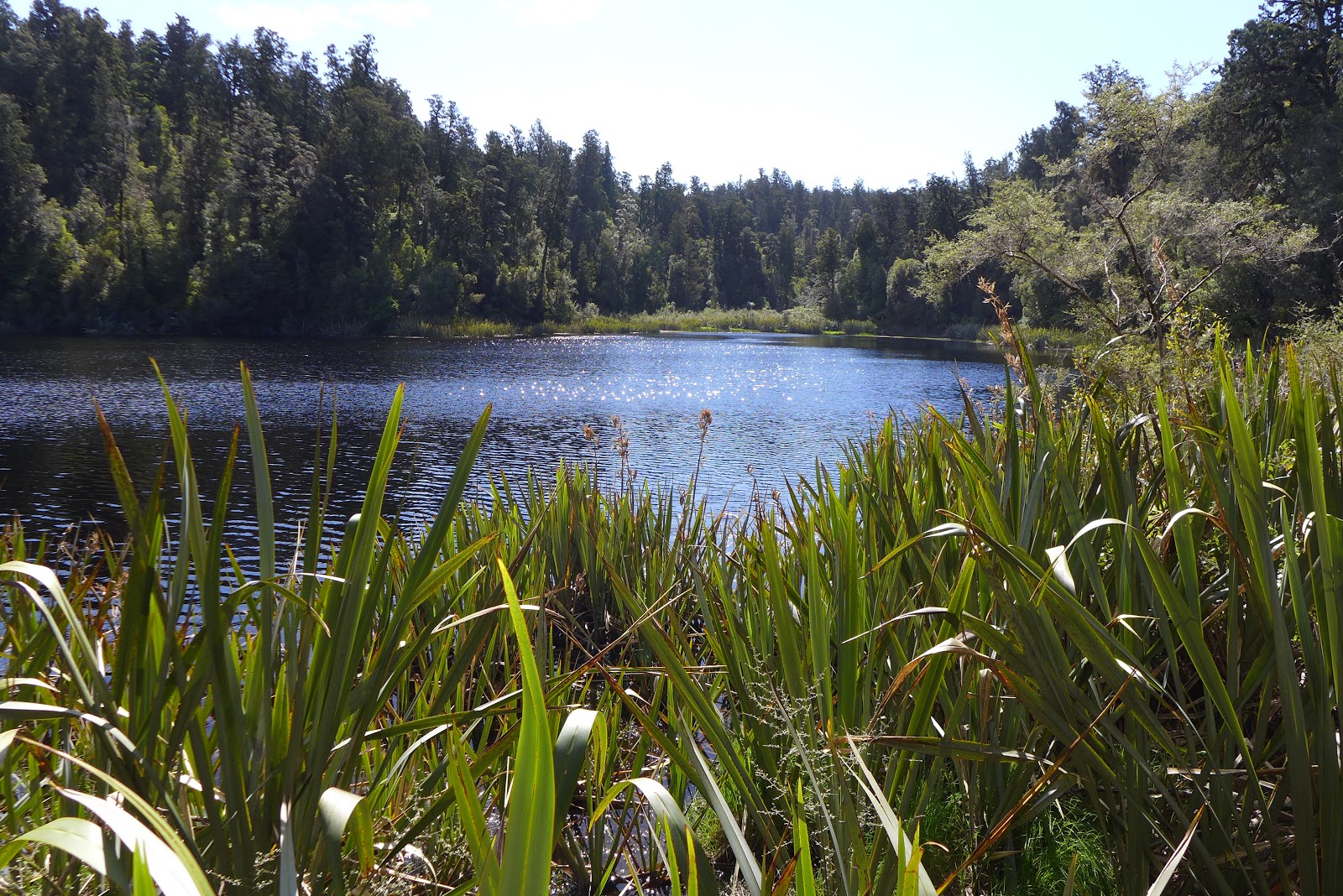 Jeffrey Bale's World of Gardens: The Four Elements Mosaics