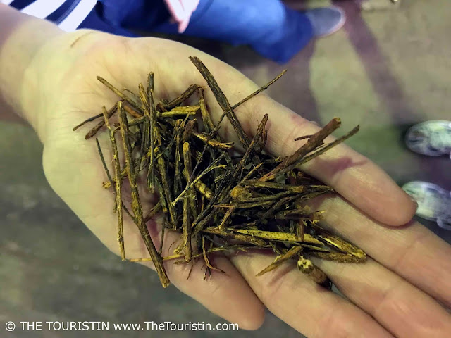 THE TOURISTIN: Visiting a Rooibos Tea Farm in the Western Cape Province