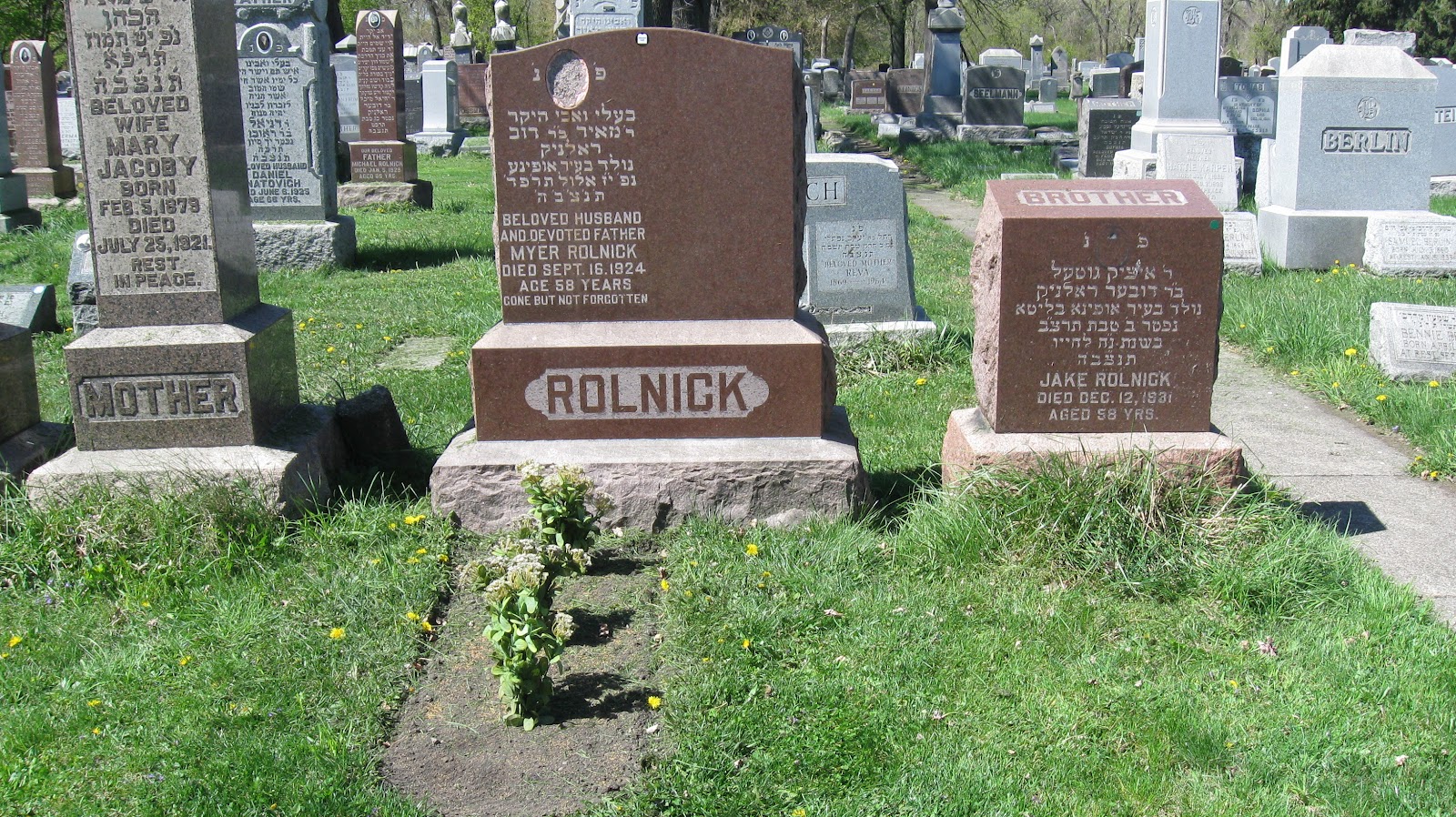 Under Every Stone: A REALLY INTERESTING FELLOW - Myer Rolnick