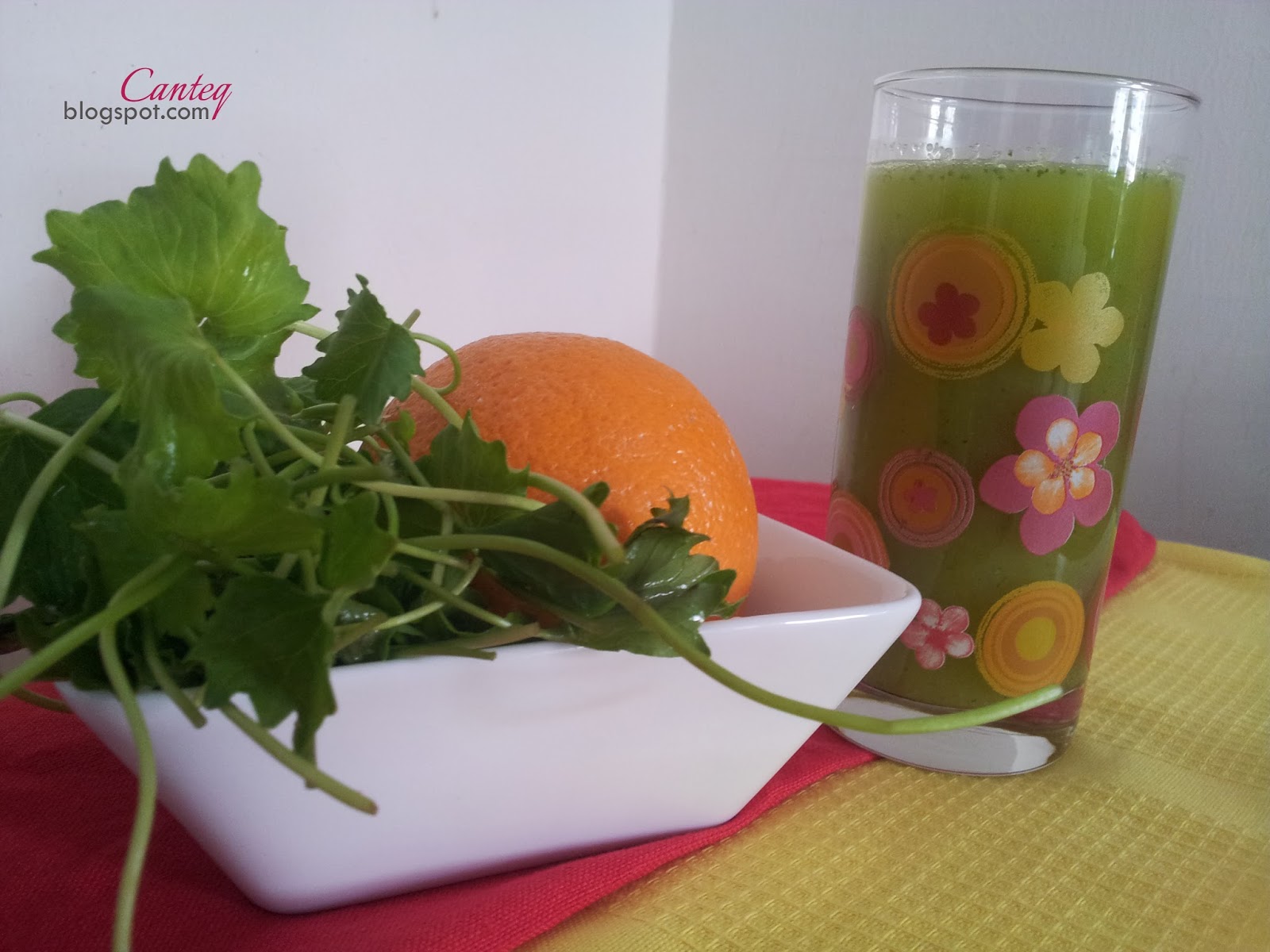 Jus Epal Oren Pegaga ~ canteq