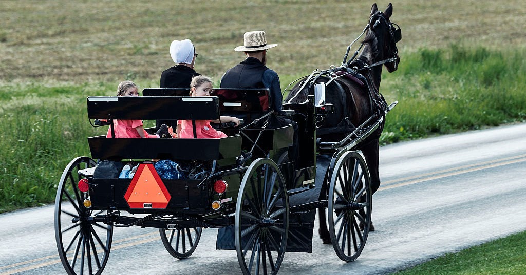 The Silicon Graybeard: The Amish High Tech Buggies