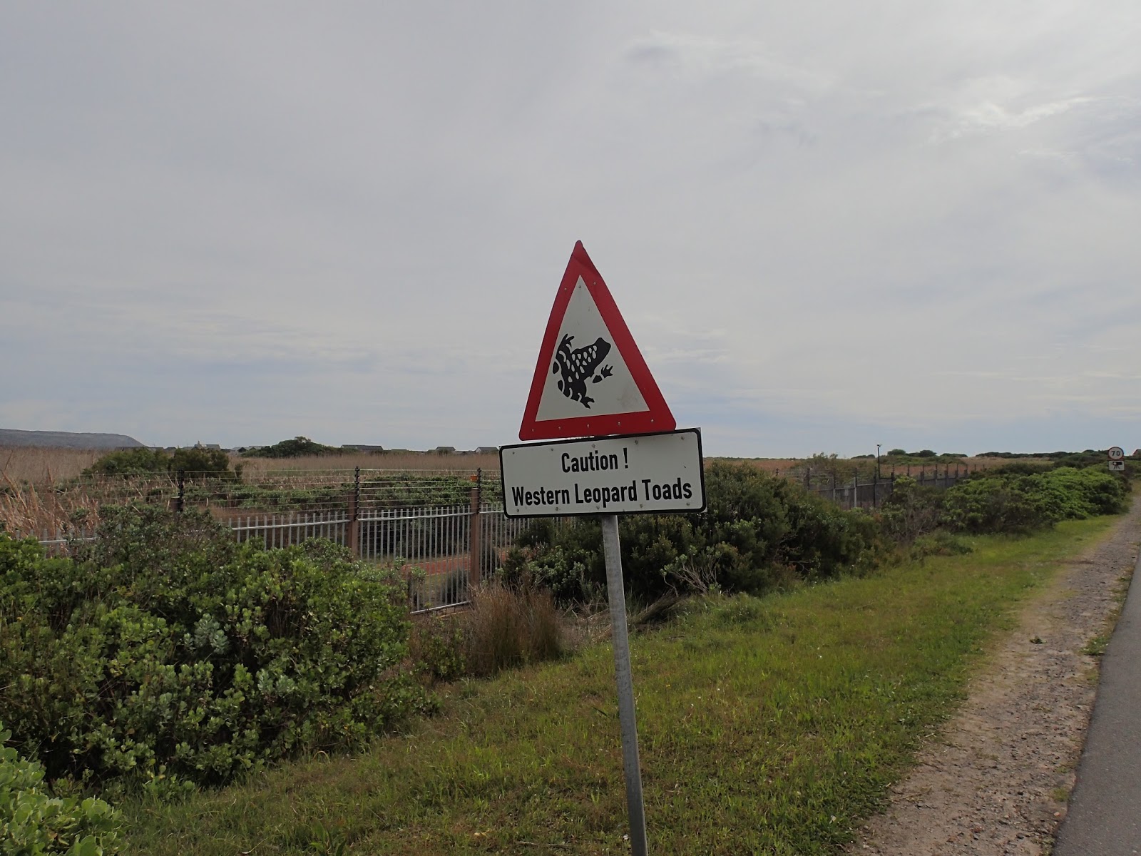 De Nantes à //Hui !Gaeb