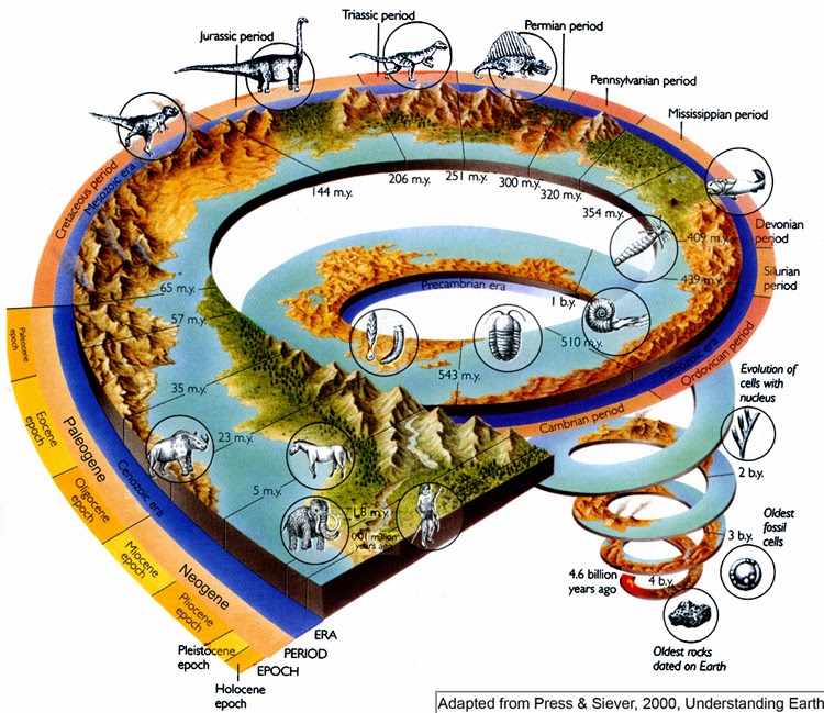 Evolucion de la vida: Evolucion biologica y ancestros