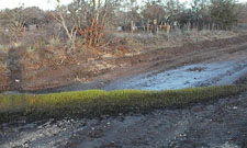 AboveCapricorn: Compost Berms for Erosion and Sediment Management