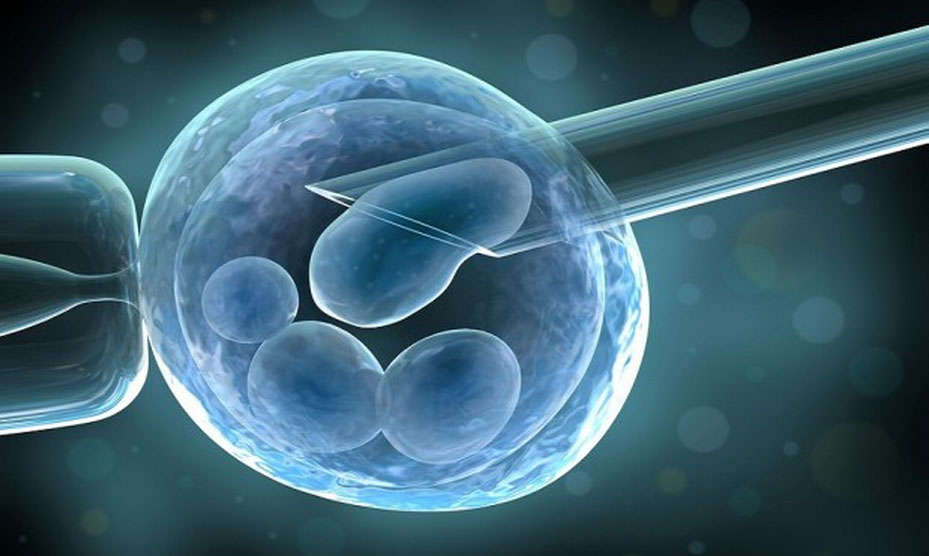 Descubre TU MUNDO: 10 detalles sobre la modificación genética de ...