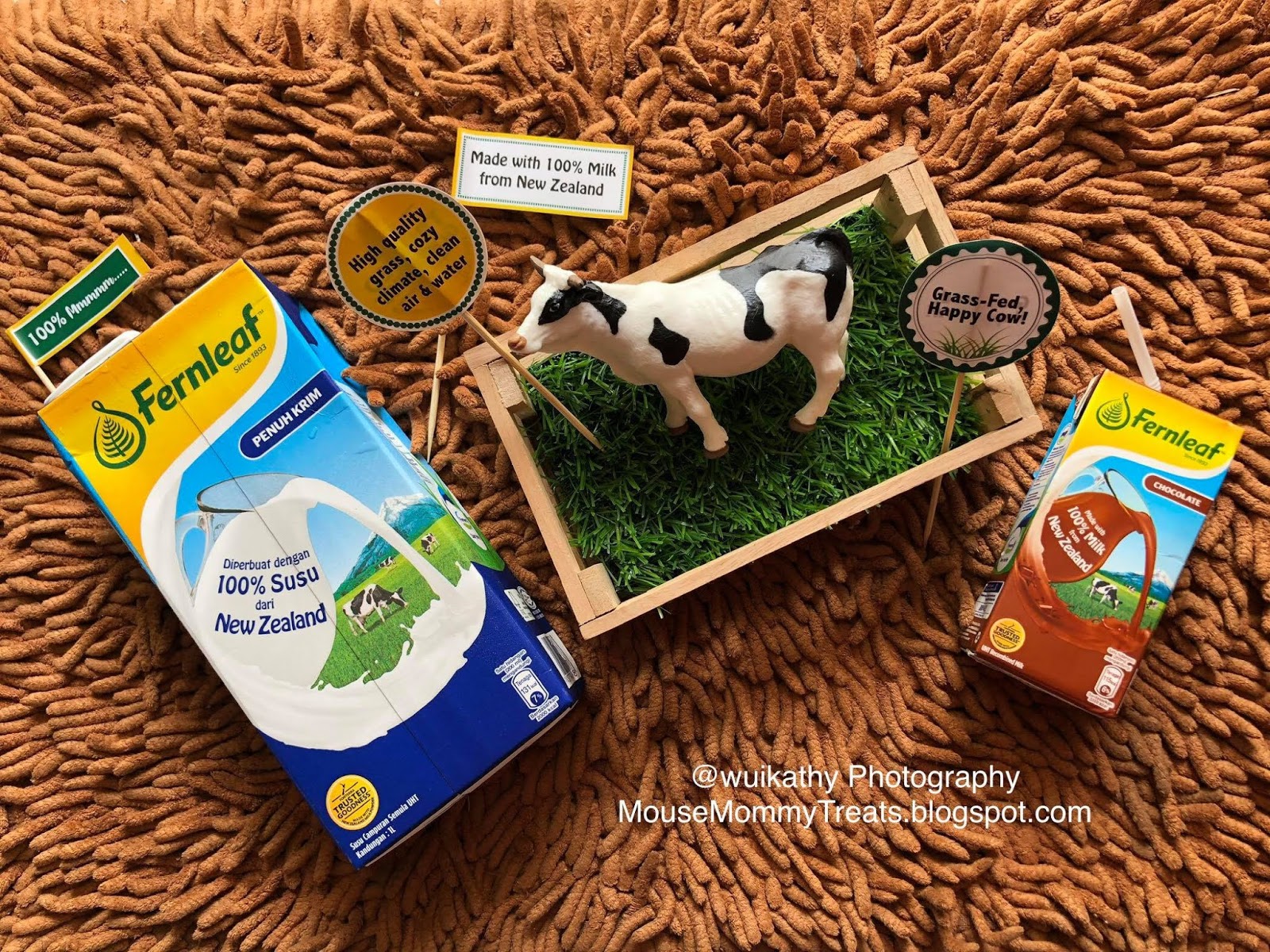 100% Mmmmm Fernleaf UHT Milk For Family And Kids - Mouse Mommy Treats