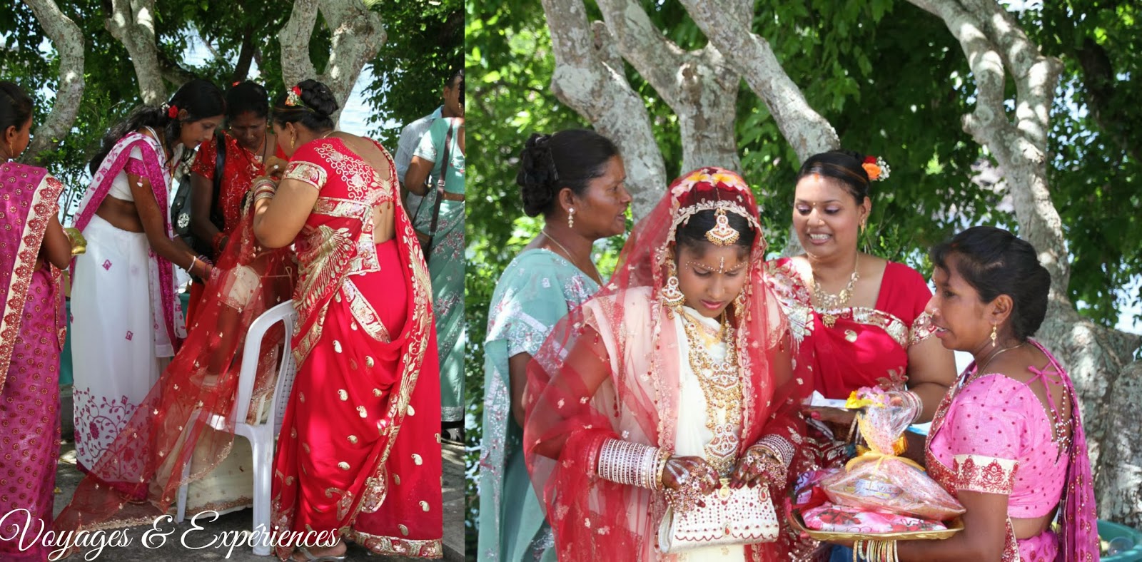 Voyages Et Expériences Maurice Mariage Indien Traditions Couleurs