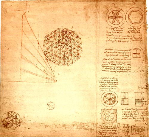 The Monkey Buddha: "Flower of Life" Drawings by Leonardo da Vinci