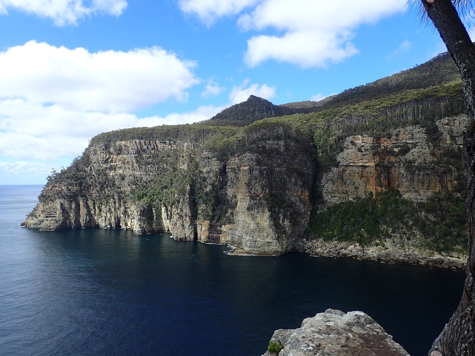 Waterfall Bluff | Hiking South East Tasmania