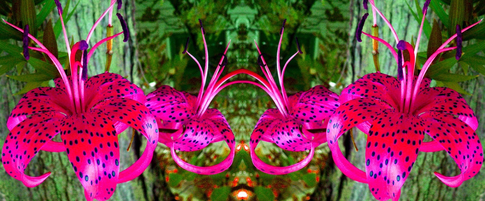 MarianneDowFoto Blog - Art Photography by Marianne Dow: Hey Lily, Is ...