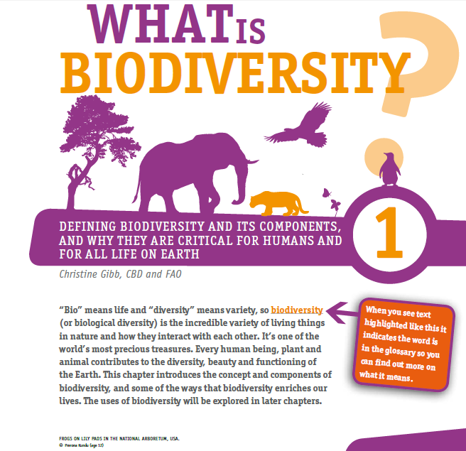 Beautiful Nature: What is Biodiversity?