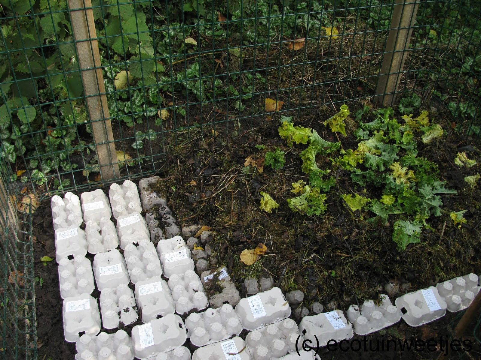 Ecotuinweetjes: Kartonnen eierdoosjes hergebruiken voor composthoop