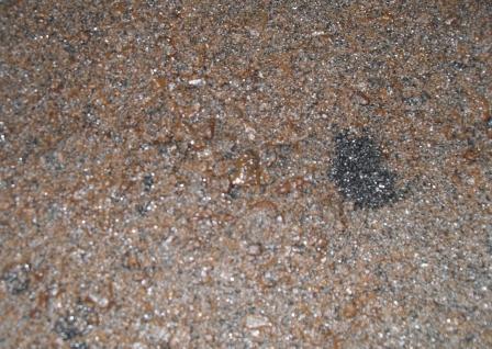 Tonka Water: Protecting Your Filter Media from Mudball Formation