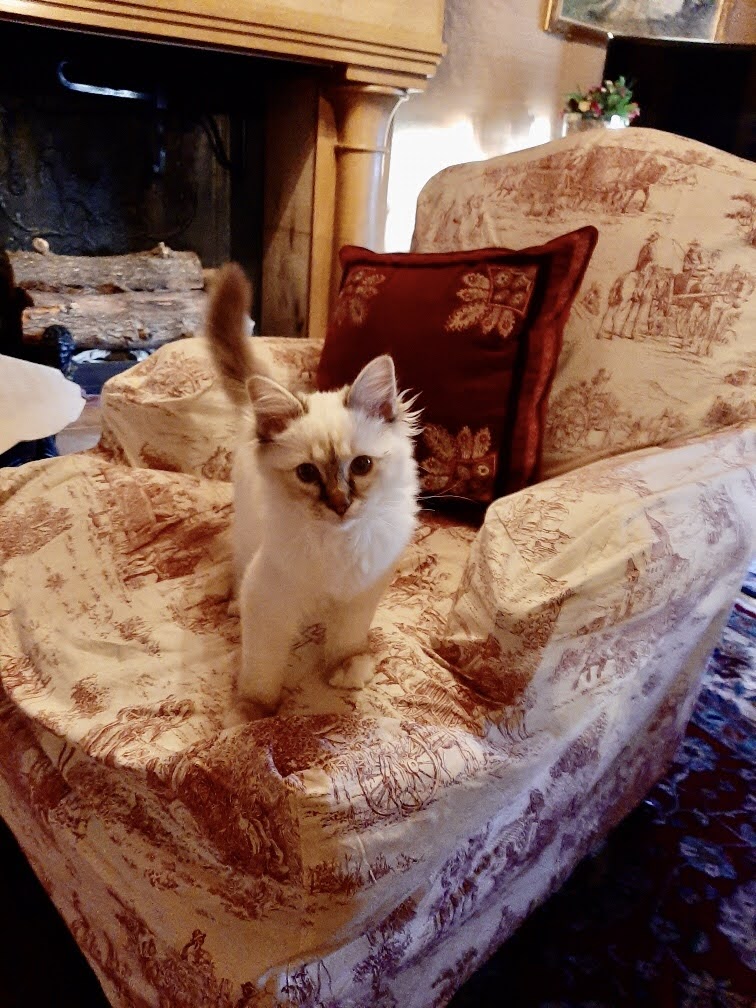 Claude BAILLY-MASSON