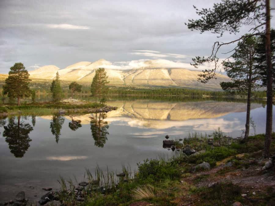 Lørenskog Jakt & Fiskeforening: Rendalen