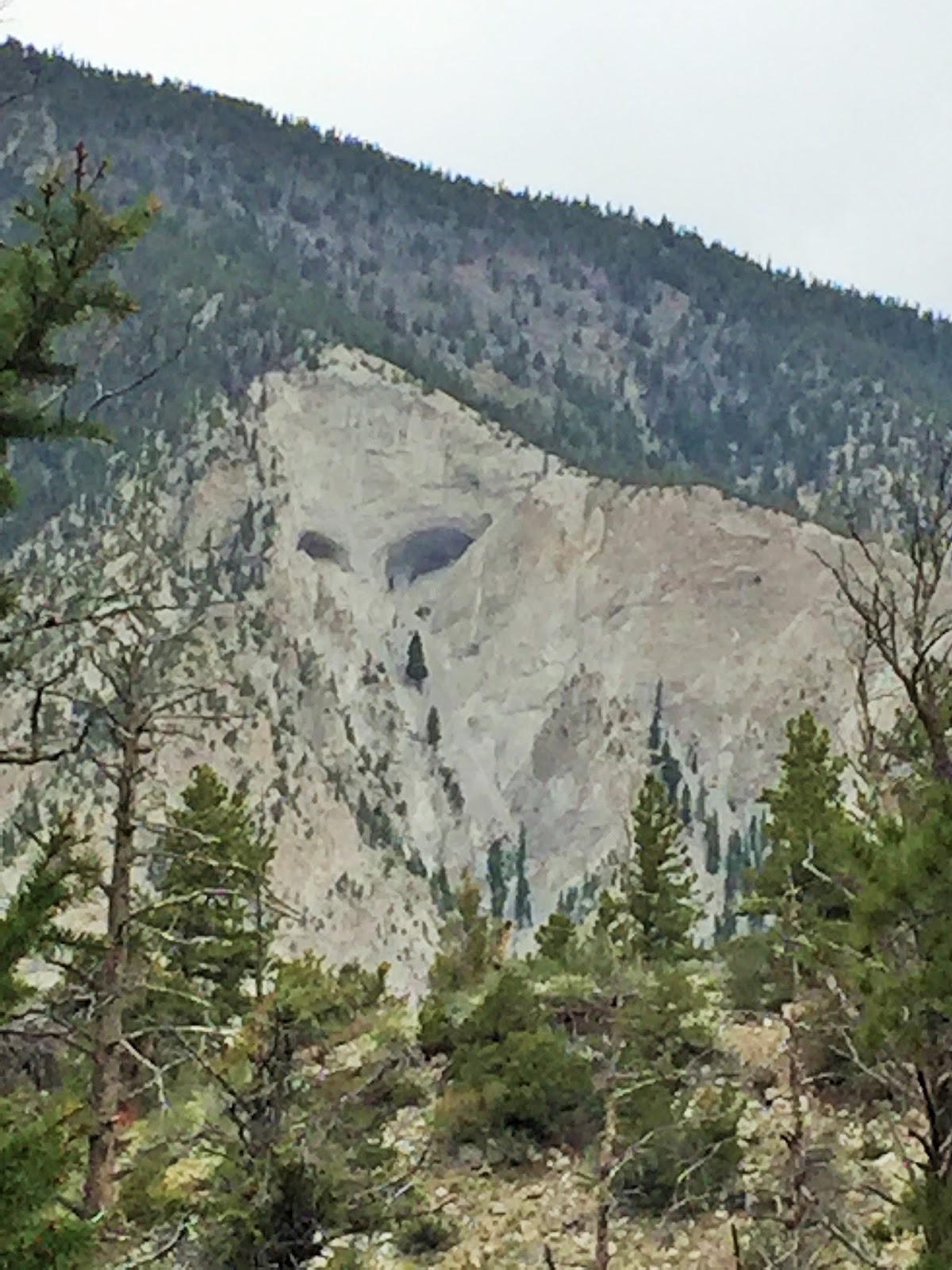 Down the Road: Chalk Canyon and the Colorado Trail