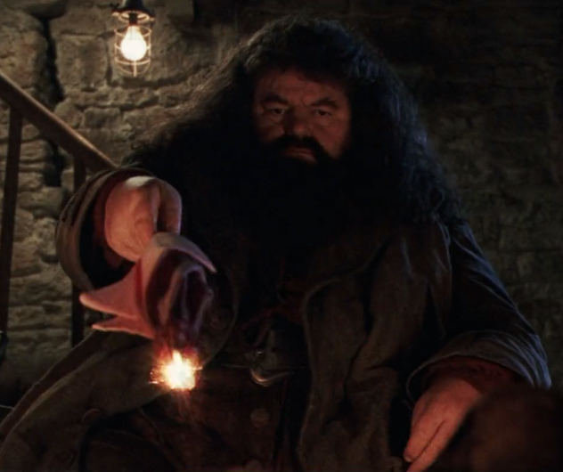 THE GRANDMA'S LOGBOOK ---: RUBEUS HAGRID, STRONG HONESTY AND LOYALTY