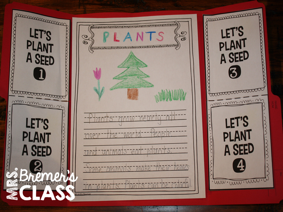 Plant Lifecycle Lapbook | Mrs. Bremer's Class