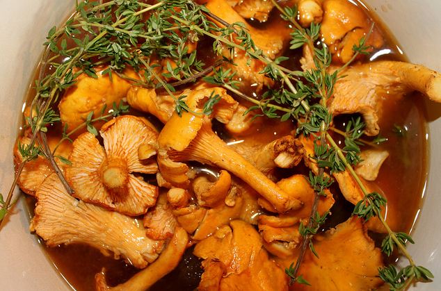 The Medieval World: Food fit for a Teutonic Knight: Medieval Soups from ...