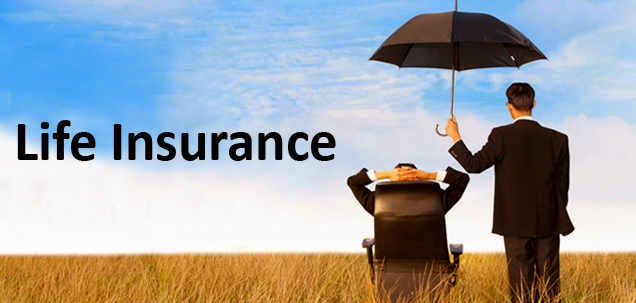 Rootfin Online Life Insurance: Life Insurance Is For Everyone