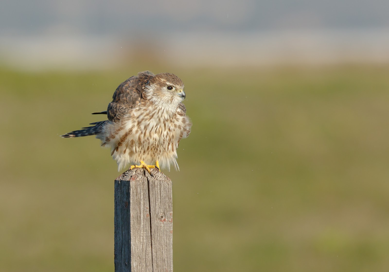 Nikos Fokas Photopraphy Blog