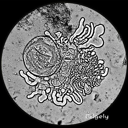 urbanorum: noviembre 2016