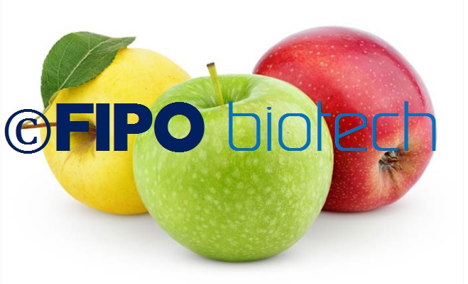 FIPO BIOTECH soluciones innovadoras