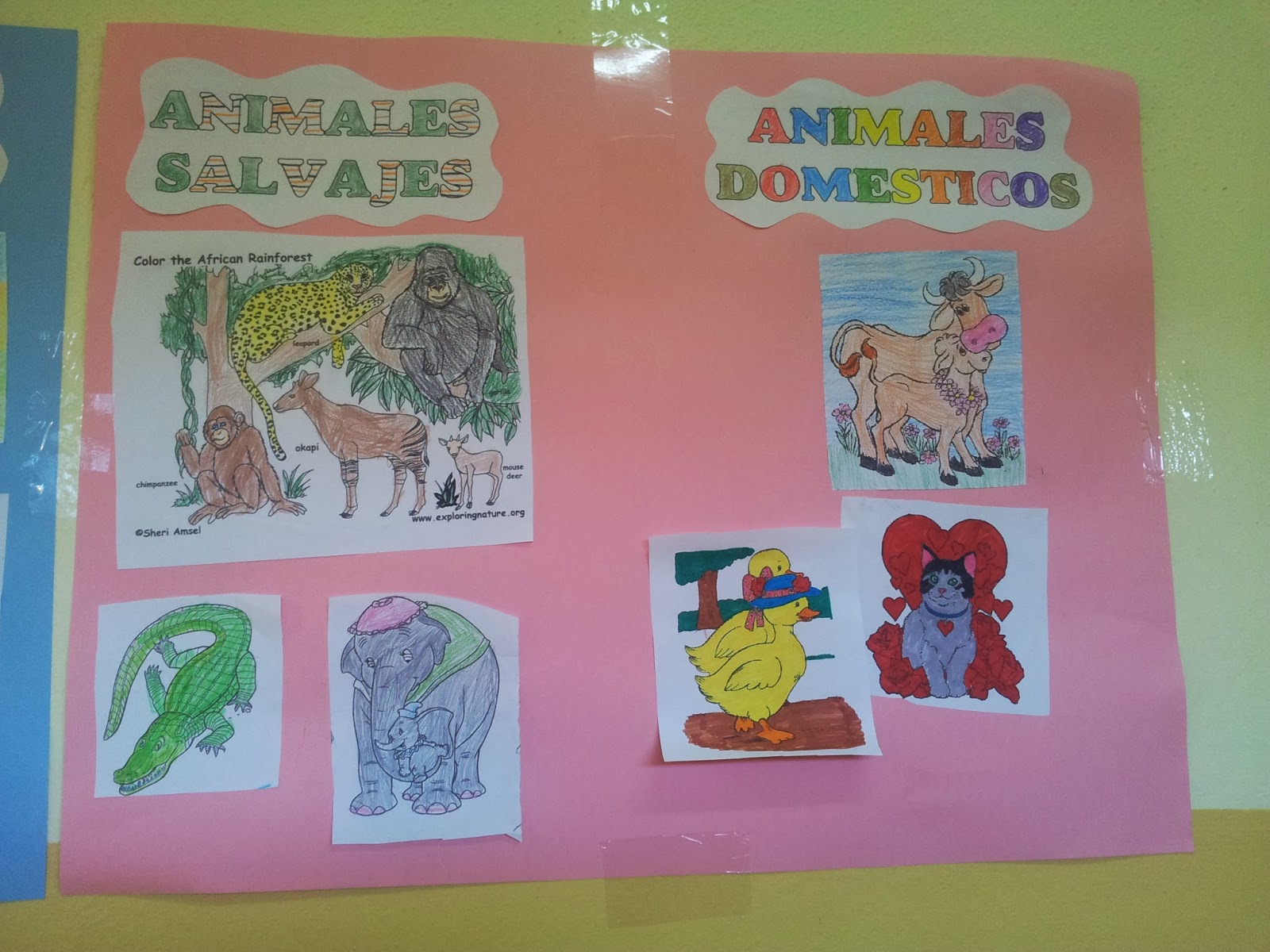 Blog de Tercero - CEIP Andalucía (Guillena): Murales sobre los animales ...