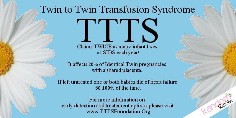 For the Love of Kathryn (TTTS) - Really, What Were We Thinking?