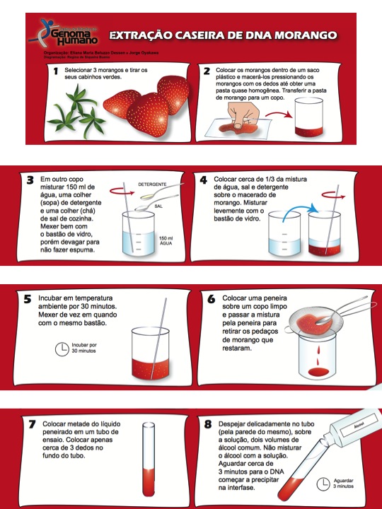 Biofacinho: Abril 2016