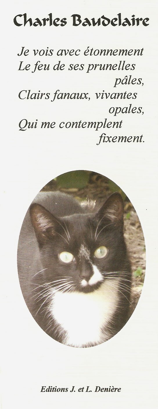 Puntos de luz... (Viva o libro!): Los gatos de Charles Baudelaire
