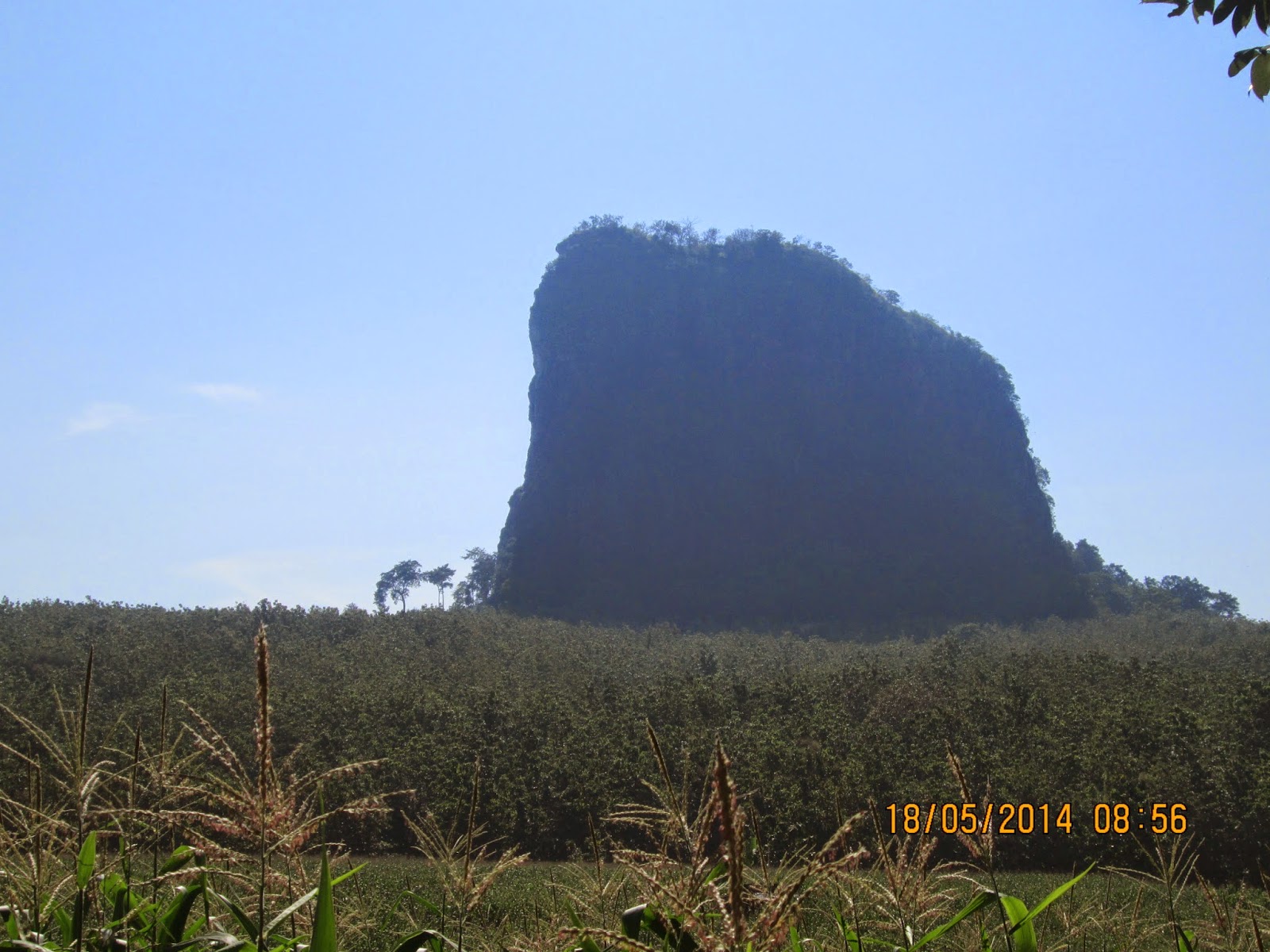 Pendakian Gunung Gajah - entung pala