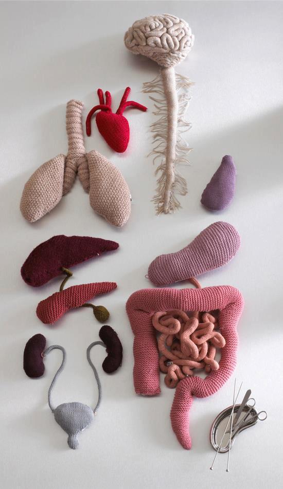 Medical Laboratory and Biomedical Science: Hand Made Organs