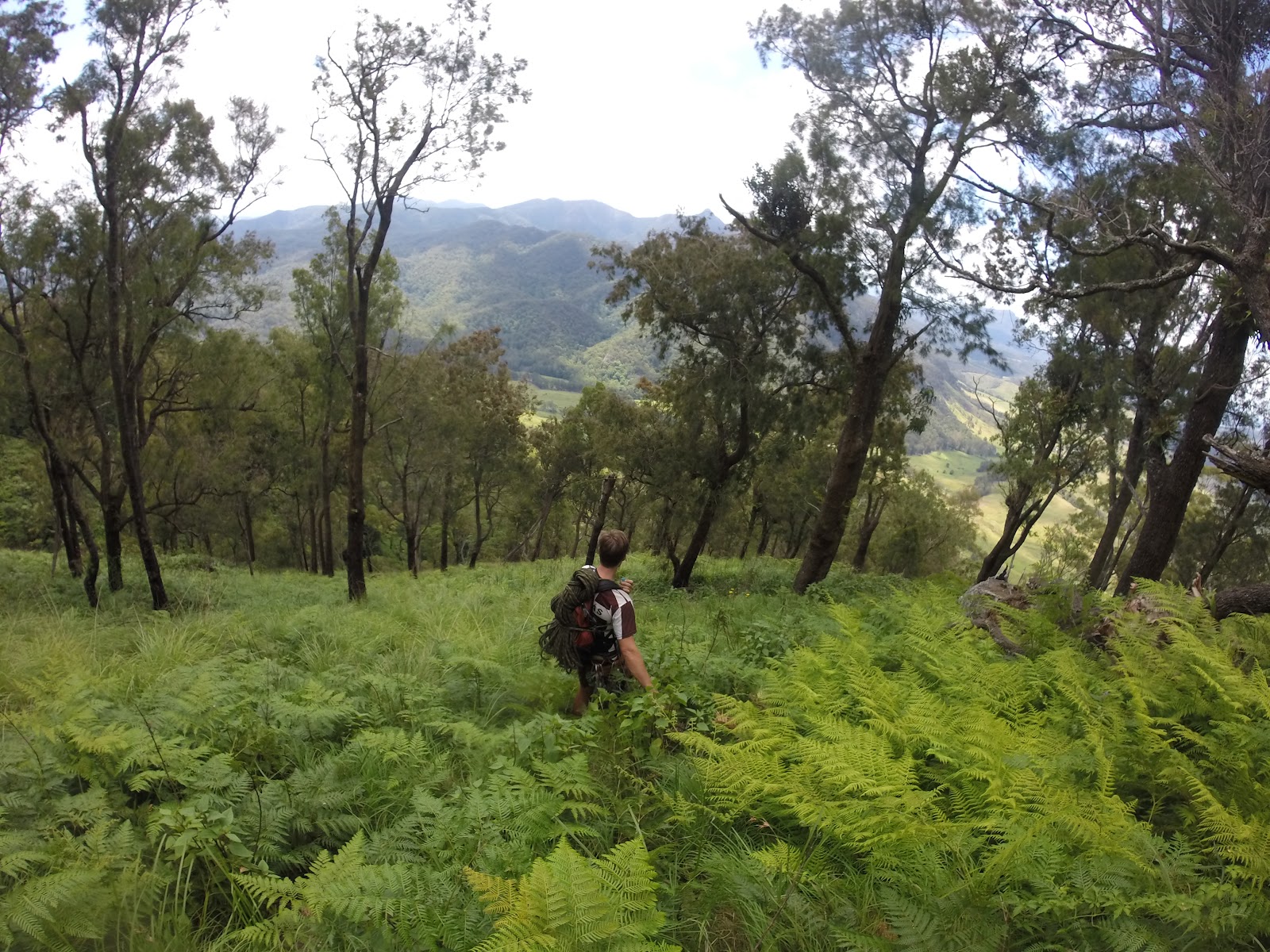 Travels: Attempting Mt Lindsay