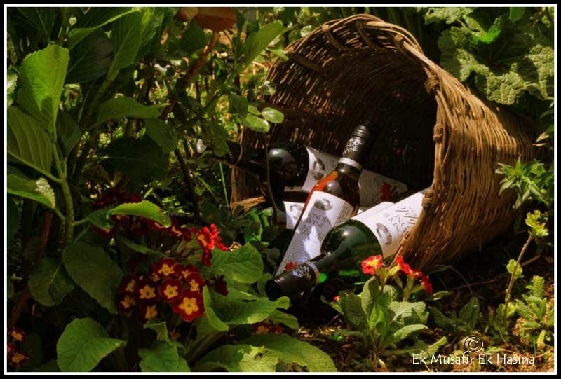 Ek Musafir Ek Hasina: Musafir & Hasina's Great Kullu Adventure Part 5 ...