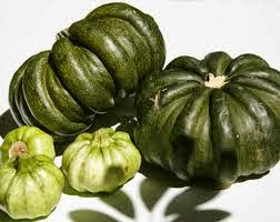 New World Food: Mayan Pumpkins