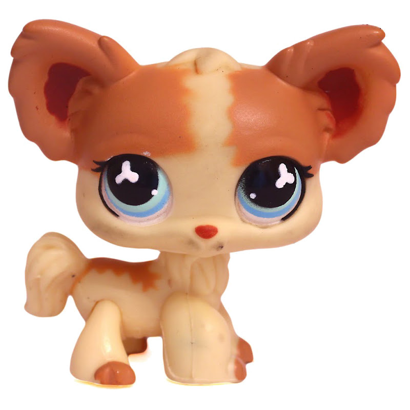 Littlest Pet Shop Pet Pairs Chihuahua (#765) Pet | LPS Merch