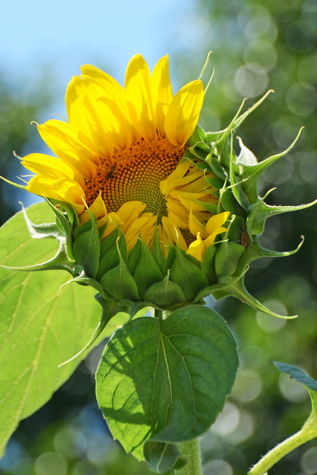 Snippets from Springdale: Zoo Zunday