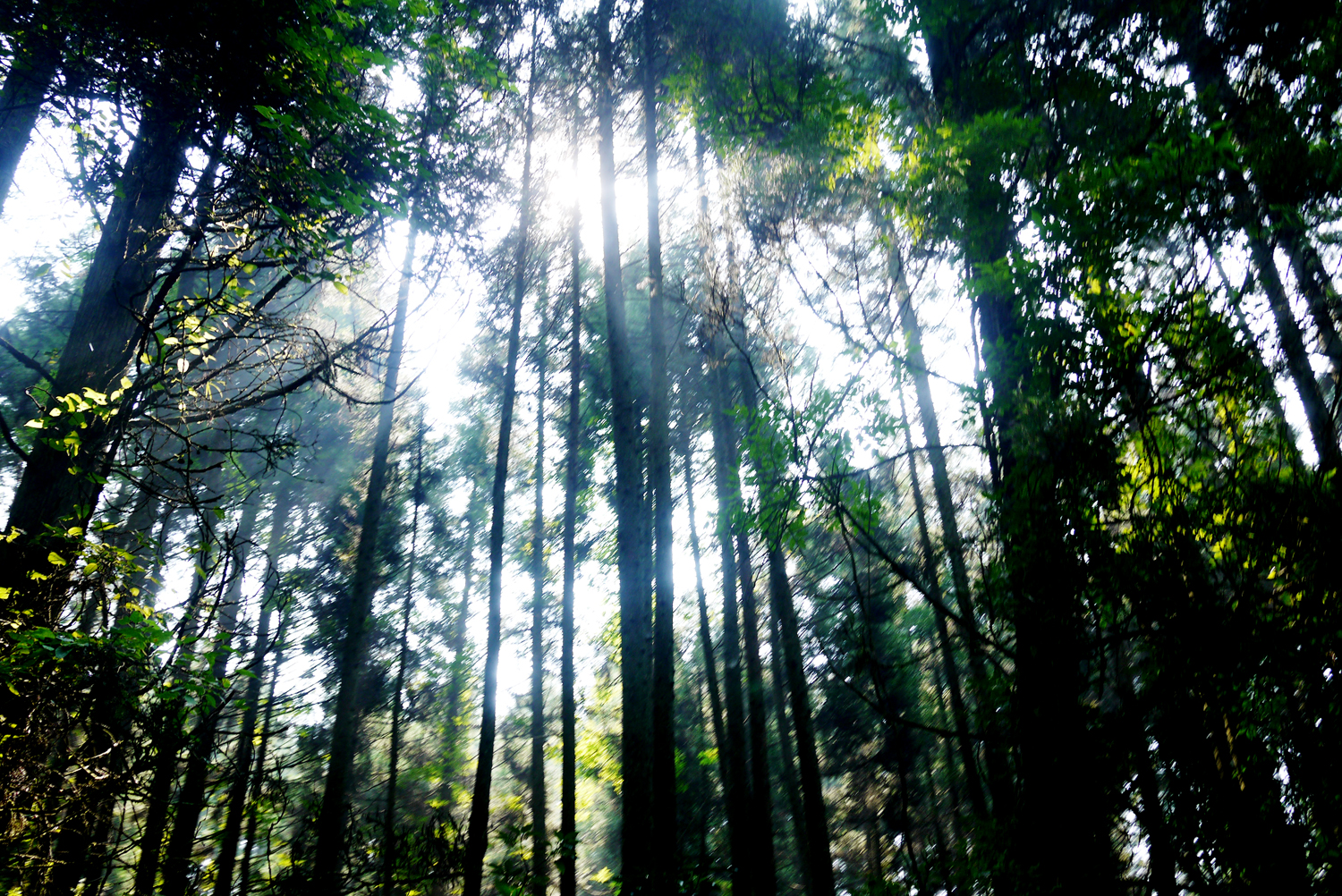 Peak Experience: Outside is Free